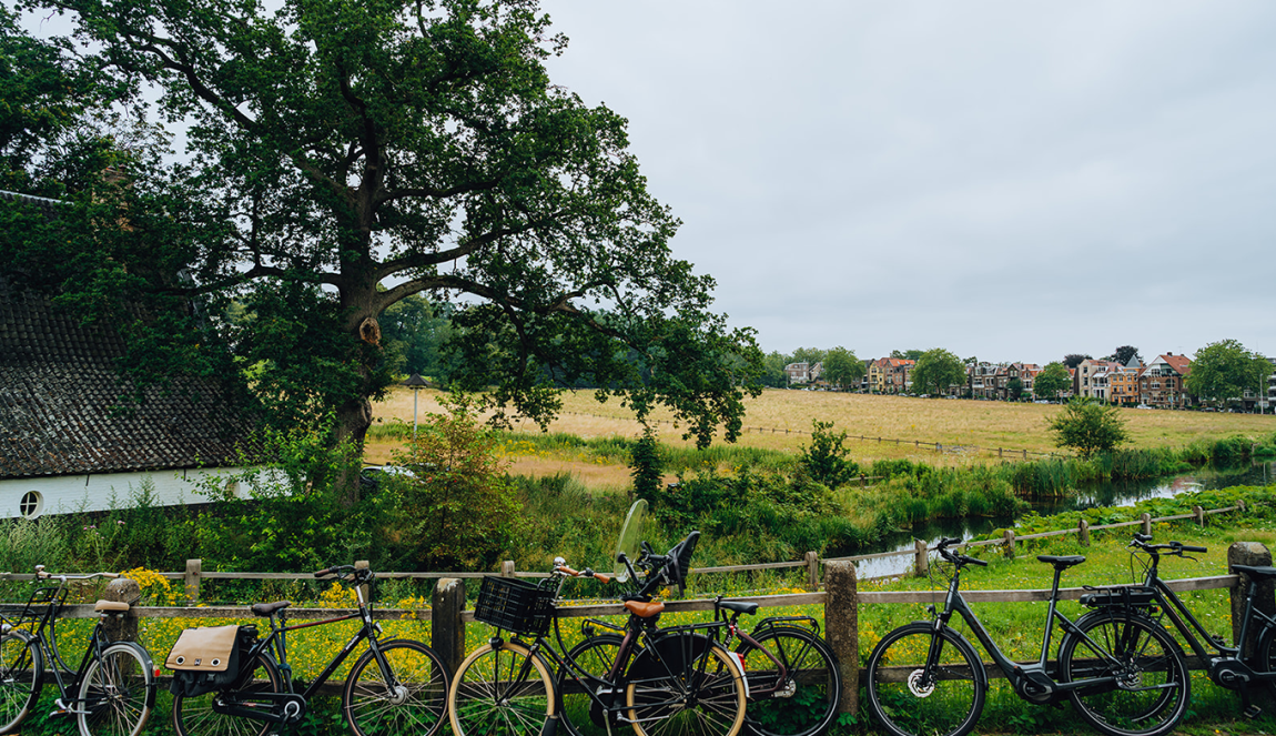Arnheim: Tipps zu Sehenswürdigkeiten, Restaurants & Parks - Holland.com